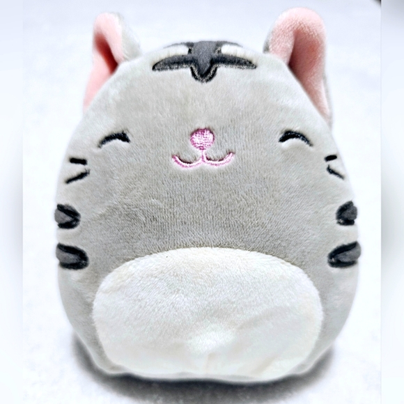 Squishmallows | Toys | Squishmallow Gray Tally The Tabby Cat 5 Inch ...